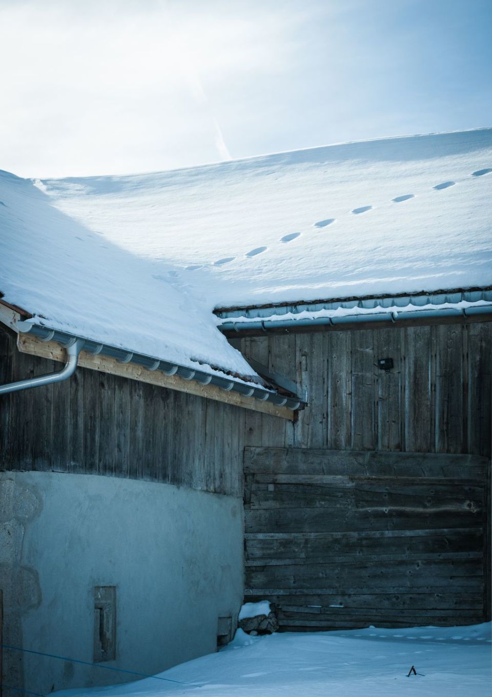 Eine Winterreise - bref Magazin